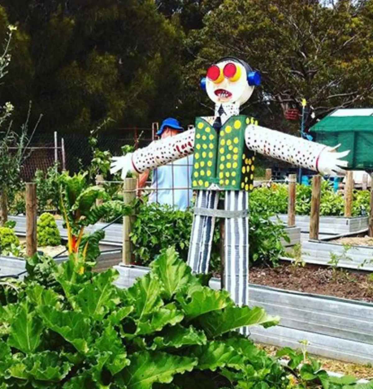 Clifton Community Food Garden - Sanctuary Point Community Pride